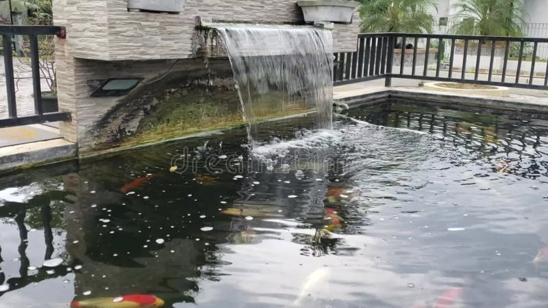 Minimalist Fish Pond, Rectangular Pond with a Small Waterfall, Suitable ...