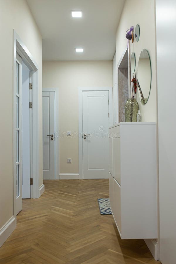 Minimalist Hallway with Modern Interior Design in Modern Apartment ...