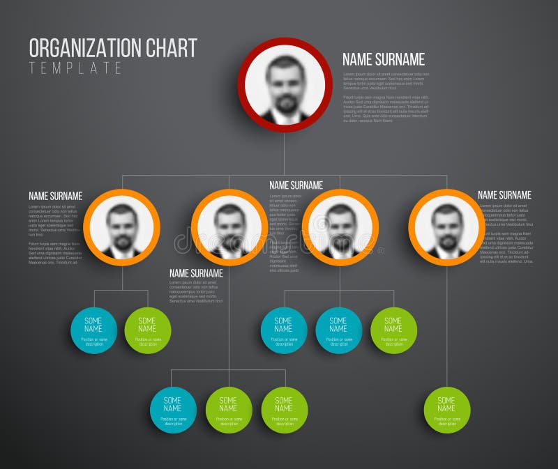 Minimalist Hierarchy Chart with Photos Stock Vector - Illustration of ...
