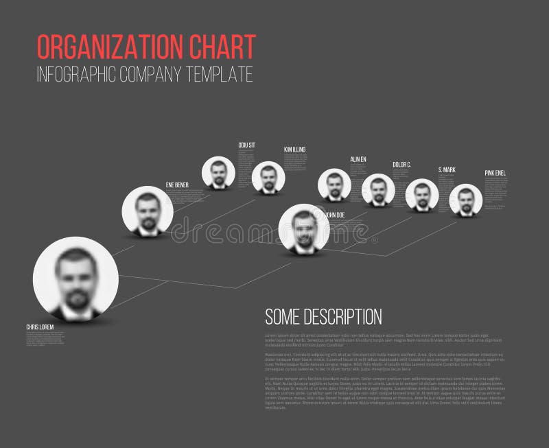 Minimalist Hierarchy Chart with Photos Stock Vector - Illustration of ...