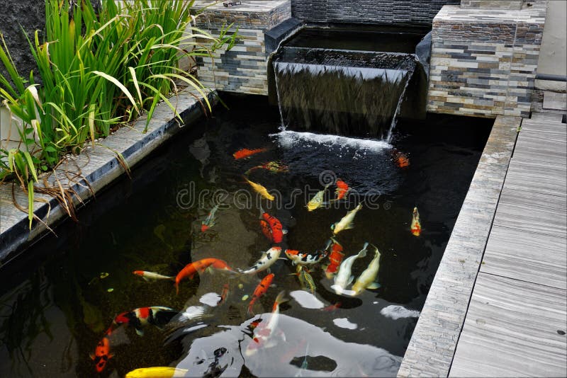 Rectangular Pond And Waterfall Is 8" Waterfall Height Enough For