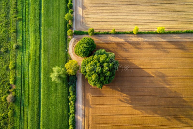 Minimalist Landscape Aerial View Stock Illustration - Illustration of ...