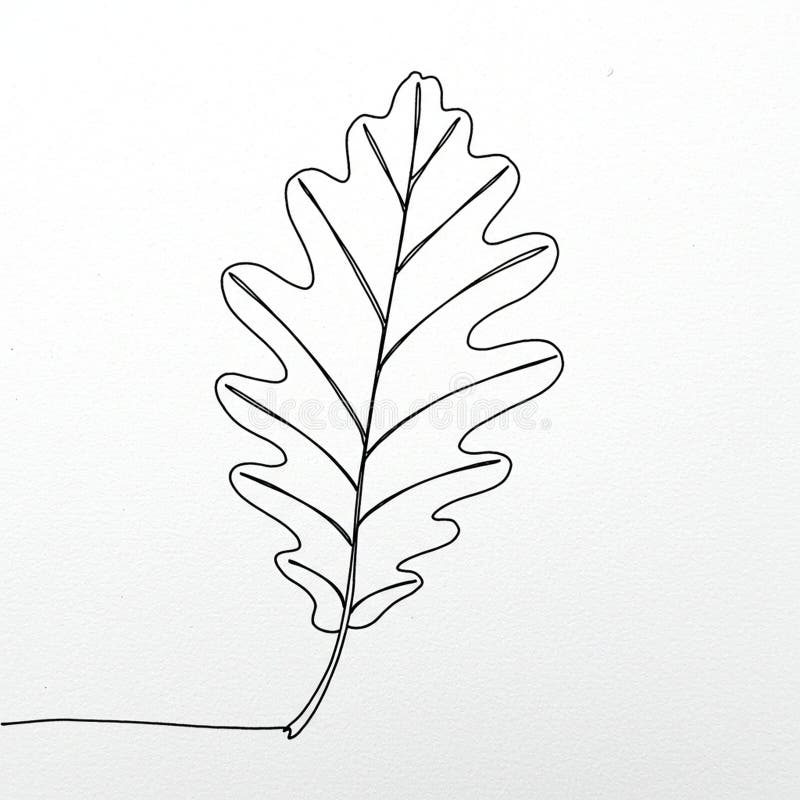 A Minimalist Line Drawing of an Oak Leaf, Characterized by Its Lobed ...