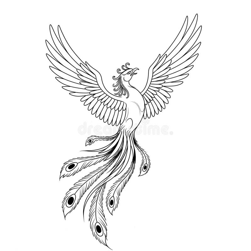 Minimalist Linework Stock Illustrations – 4,821 Minimalist Linework ...