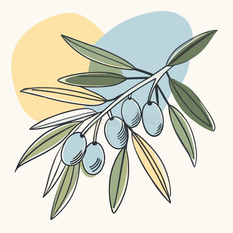 Minimalist Olive Branch with Green Olives and Leaves Stock Vector ...