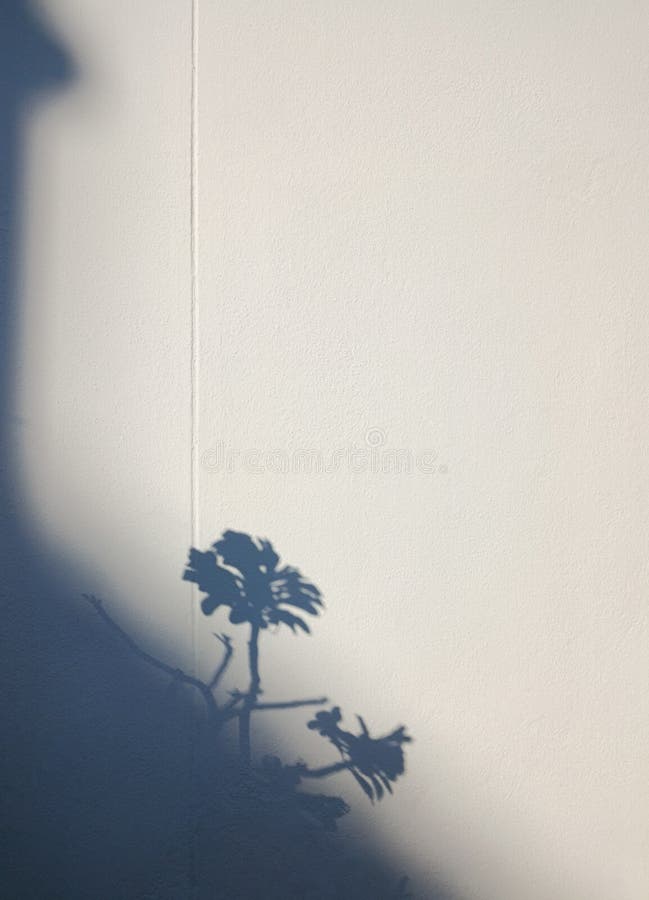 Minimalist Photography of Light and Shadows Hitting a Wall Creates a ...
