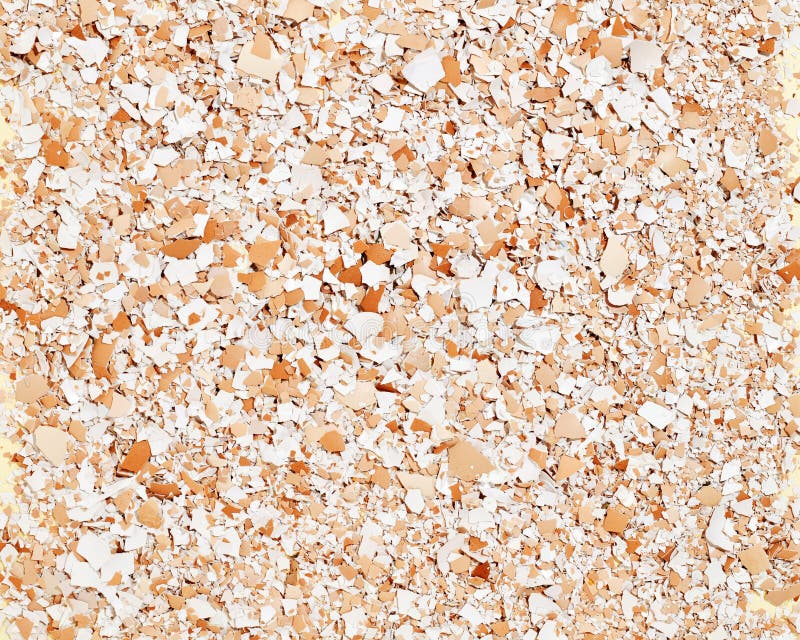 A Minimalist Shot of a Broken Eggshell Stock Image - Image of cracked ...
