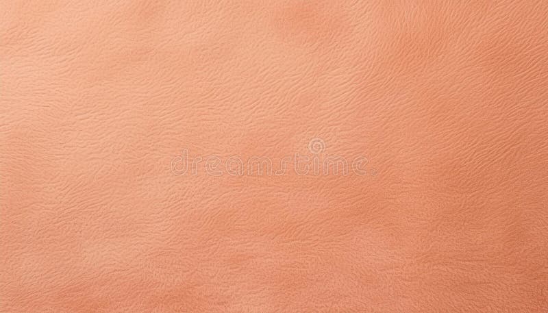 Minimalist Solid Peach Fuzz Color Background Stock Photo - Image of ...