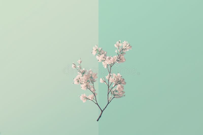 Minimalist Spring Background with Pastel Colors and Springtime Elements ...