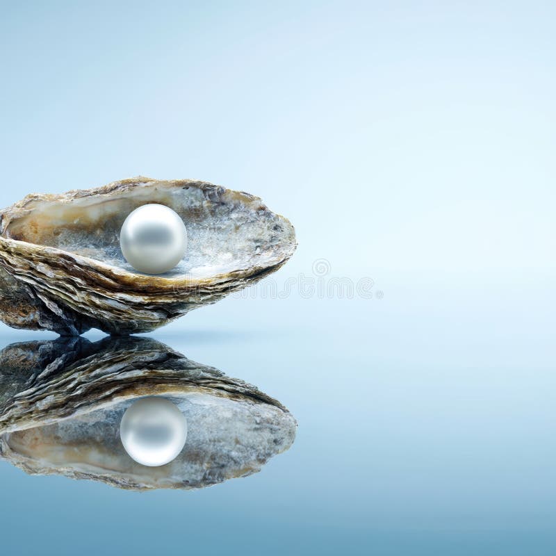 Minimalist Still Life of a Pearl and Oyster Shell on a Reflective Blue ...