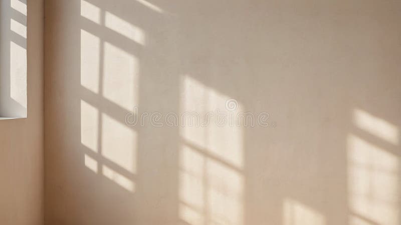 Minimalist Studio Background with Window Shadows Stock Illustration ...