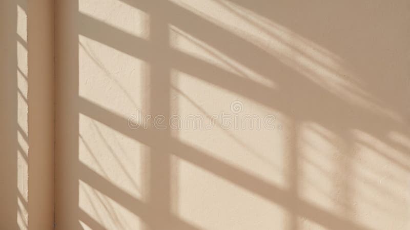 Minimalist Studio Background with Window Shadows Stock Illustration ...