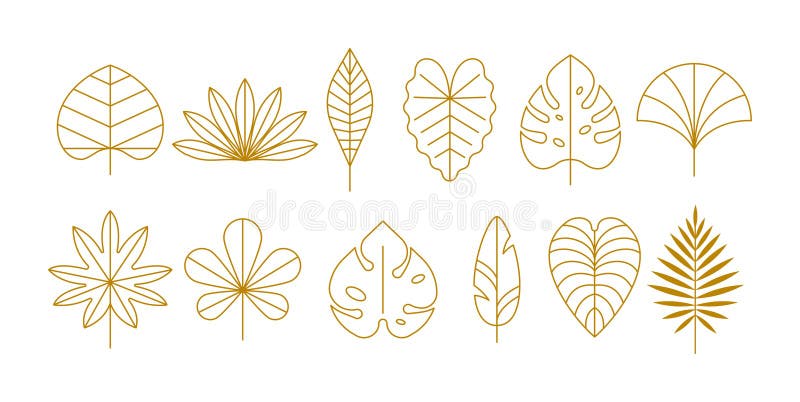 Minimalist Summer Tropical Leaves Design Collection. Linear Simple ...