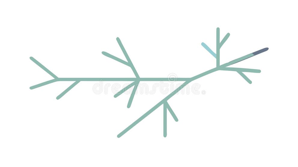 Minimalist Tree Branch or Root System Outline Vector Graphic, Vector ...