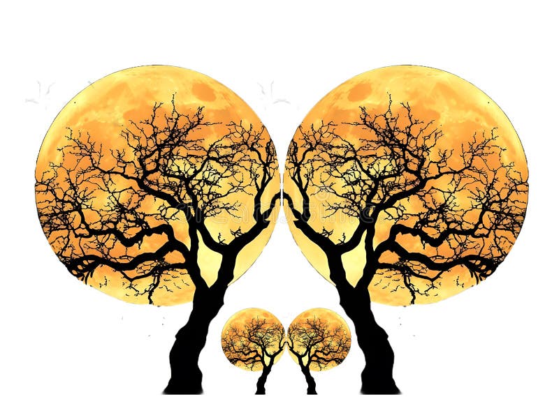 Minimalist Tree Silhouette in Front of White Background Stock ...