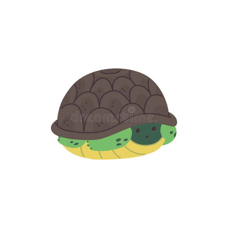 Minimalist Turtle Vector Illustration Stock Vector - Illustration of ...