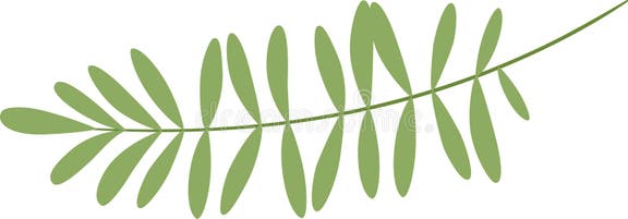 Minimalist Vector Illustration Featuring a Single Green Leaf with ...