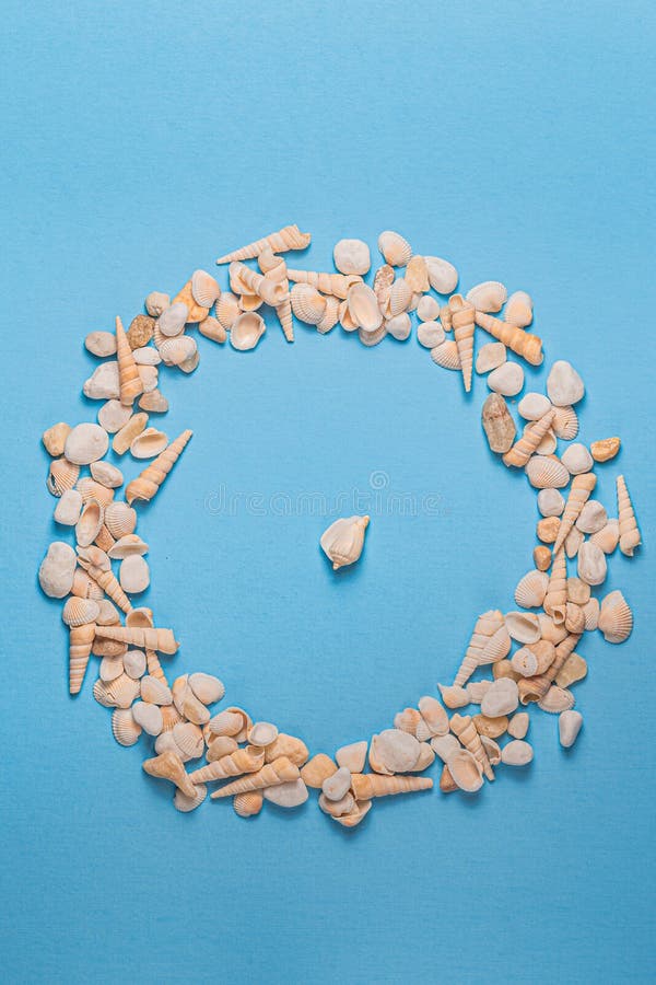 Minimalist Wallpaper with Beige and White Seashells in a Bottle Stock ...