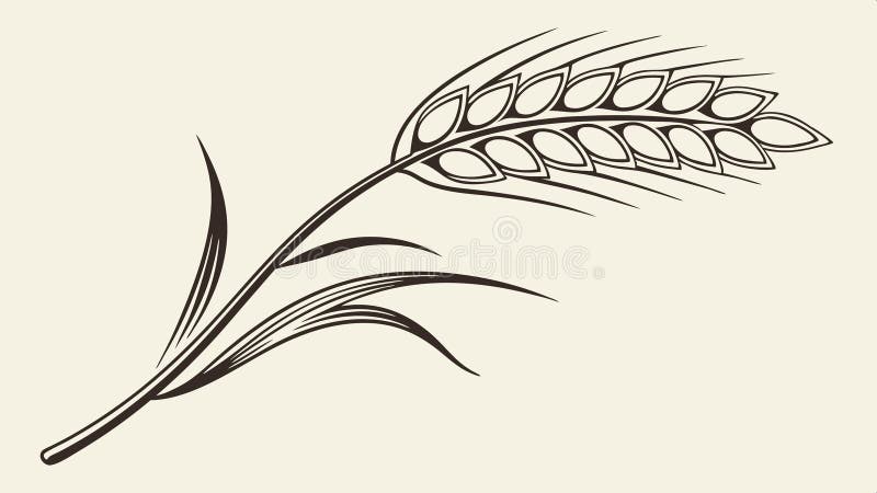 Minimalist Wheat, Simple Grain, Basic Stalk, and Understated ...