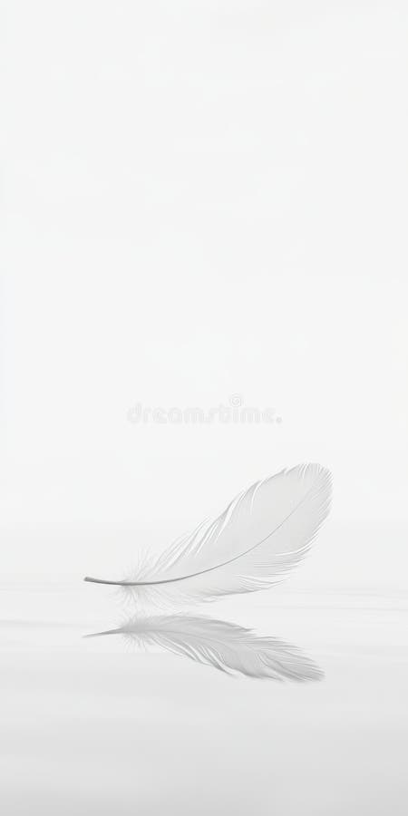 Minimalist White Feather on Reflective Surface with Soft Shadows and ...