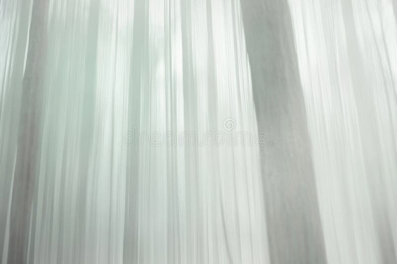 Minimalistic Abstract of a Rainy Forest with Vertical Lines Stock ...