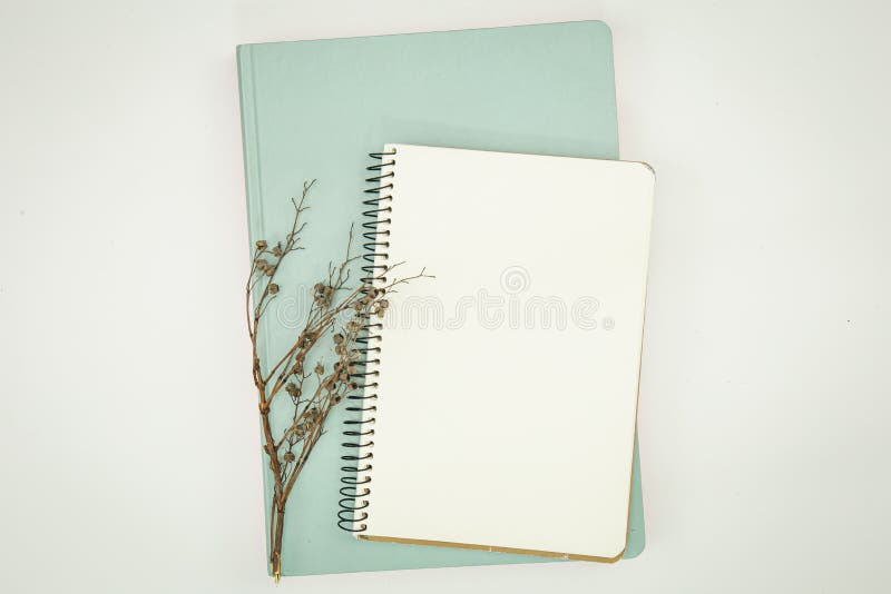 Minimalistic Background with Blank Notepad, Flat Lay. Stock Photo ...