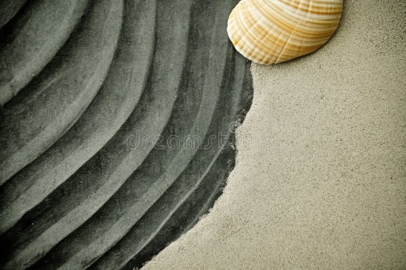 Minimalistic Beach Concept with Seashell on Sand Featuring Wave Pattern ...