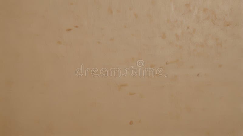 Minimalistic Beige Background Texture, Neutral Color Backdrop Ideal for ...