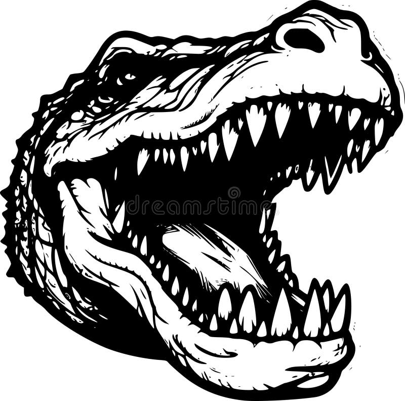 Alligator - Black and White Vector Illustration Stock Vector ...