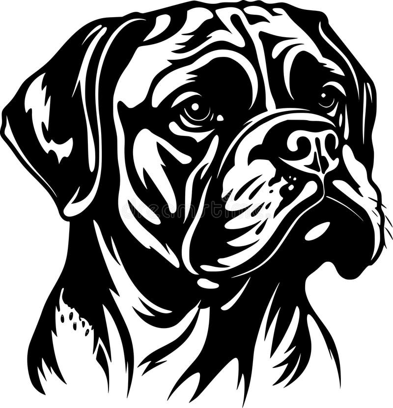 Boxer - Black and White Vector Illustration Stock Vector - Illustration ...