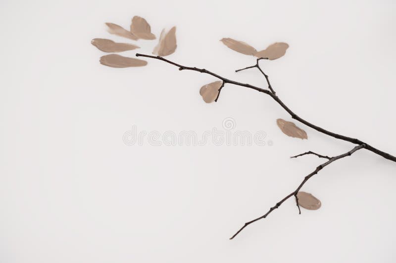 A Minimalistic Composition Featuring a Dark, Slender Tree Branch ...