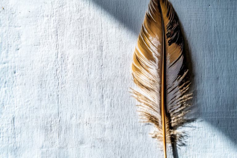 Minimalistic Composition Featuring a Single Feather on a Rustic Surface ...