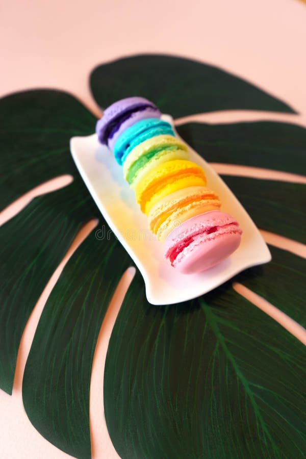 Minimalistic Composition with Six Handmade Macaroons of Different ...