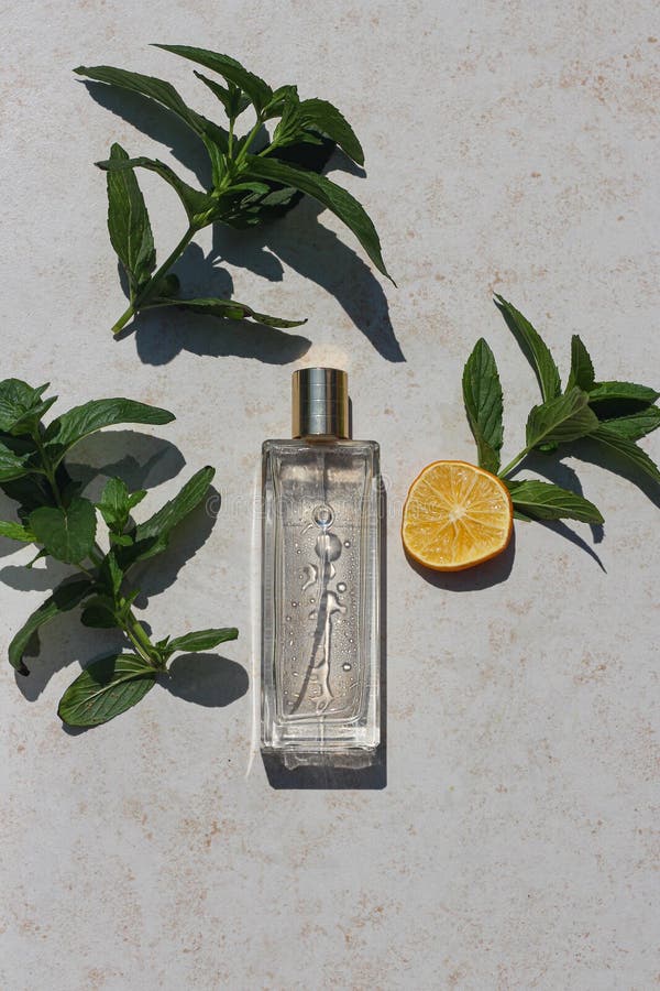 Minimalistic Flat Lay Composition of a Perfume Bottle Stock Photo ...