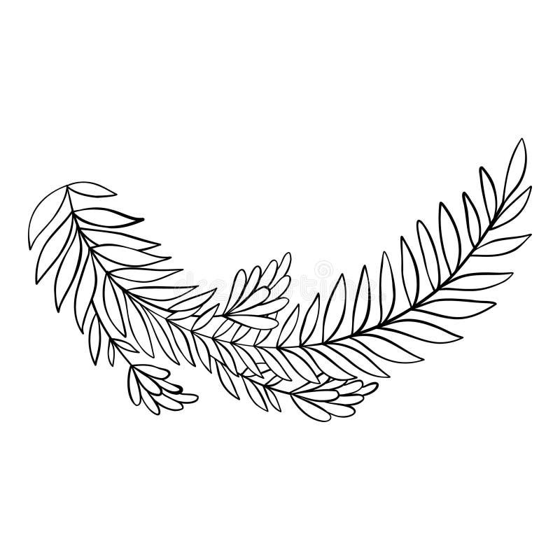 Minimalistic Floral Elements. Minimal Boho Floral Frames and Bouquets ...