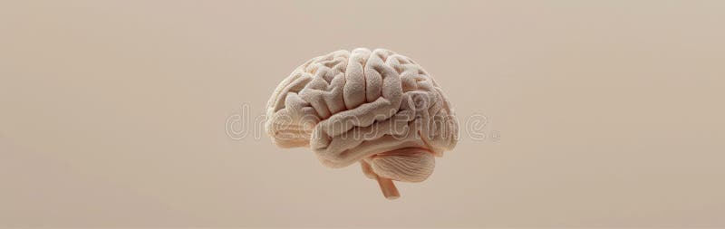 Minimalistic Image of Human Brain on Beige Background, Simplicity and ...