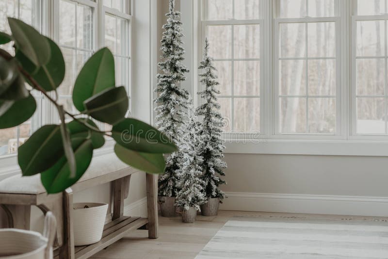 Minimalistic Interior Design with Decorative Pine Trees in the Corner ...