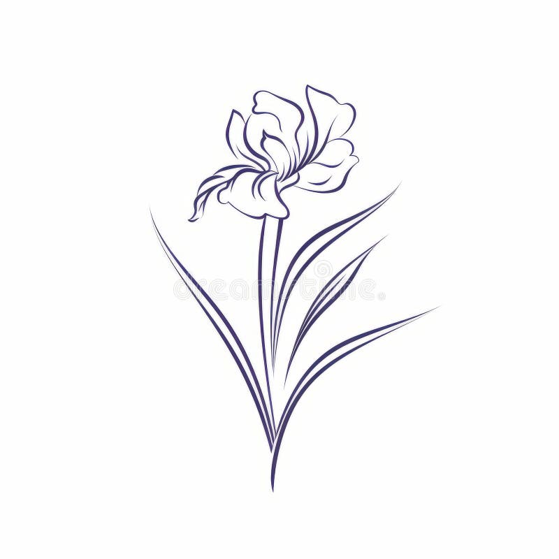 Minimalistic Iris Flower Illustration: Trendy Tattoo Design Stock ...