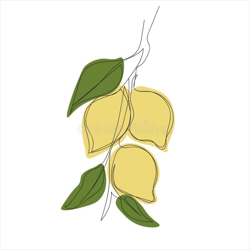 Lemon Tree Line Drawing Stock Illustrations – 628 Lemon Tree Line ...