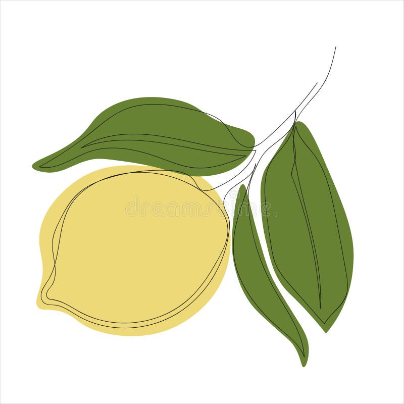 Lemon Tree Line Drawing Stock Illustrations – 714 Lemon Tree Line ...