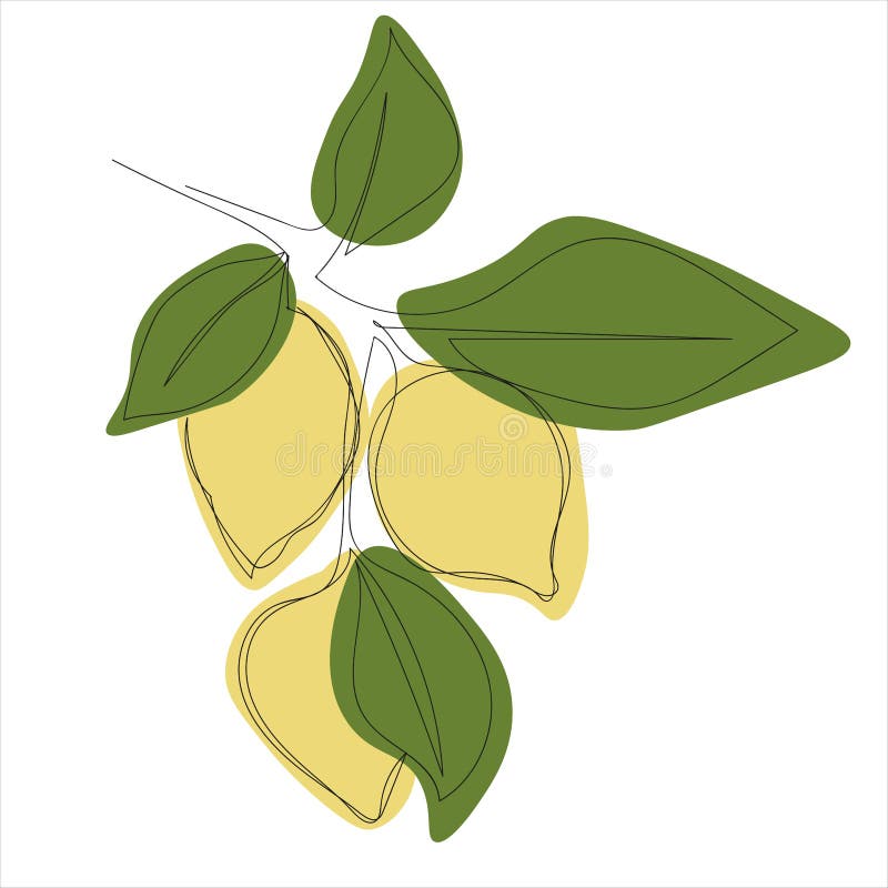 Lemon Tree Line Drawing Stock Illustrations – 628 Lemon Tree Line ...