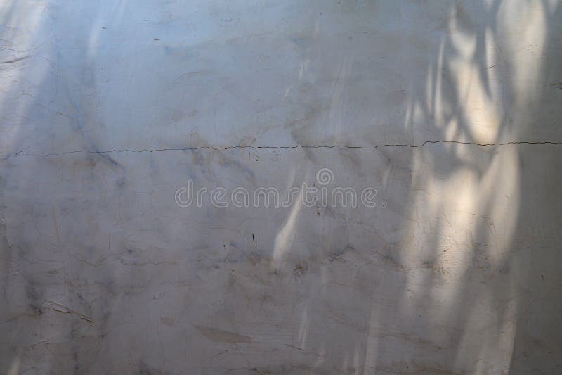 Minimalistic Light Background with Blurred Foliage Shadow on a Wall ...