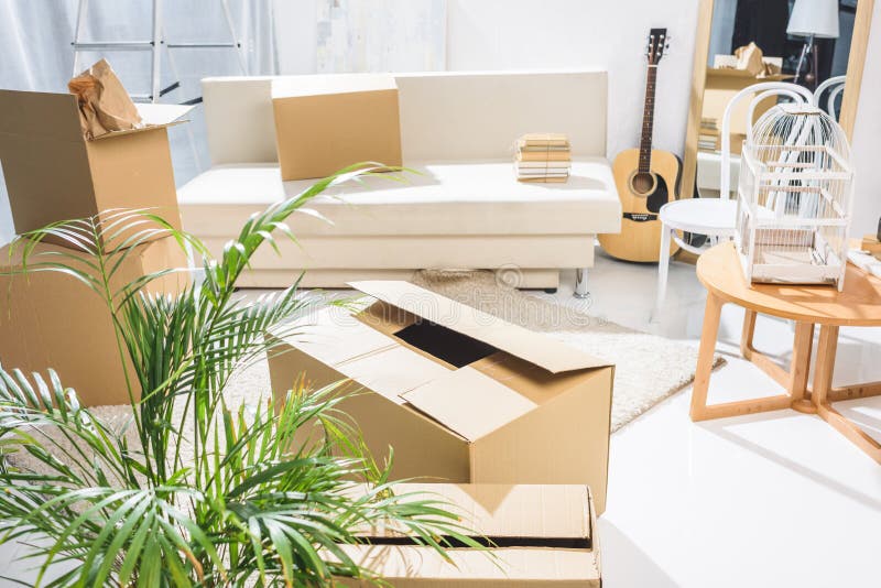 Minimalistic Living Room Filled with Moving Stock Image - Image of ...