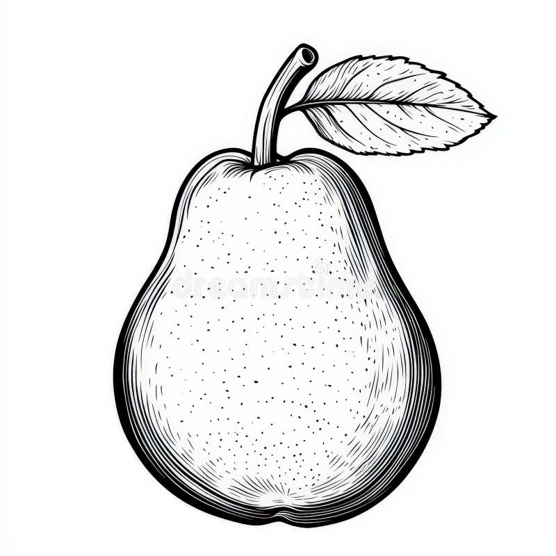 Minimalistic Pear Illustration in Black and White with Bold Lines Stock ...