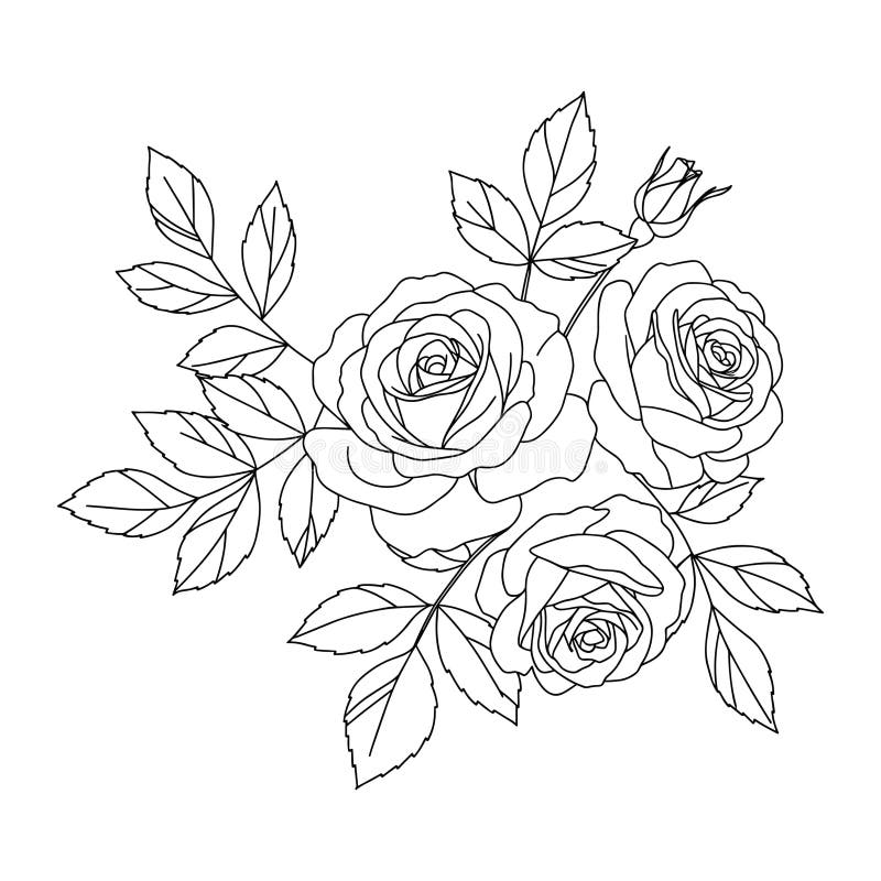 Minimalistic Rose Flowers, Buds, Leaves and Branches in Line Style ...