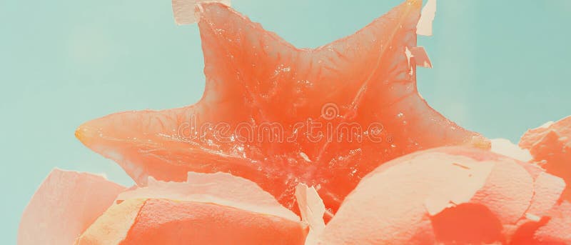 Minimalistic Scrapbook-style Artwork Featuring a Slice of Starfruit ...