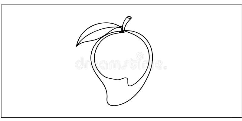 Minimalistic Vector Line Drawing of a Mango Stock Illustration ...