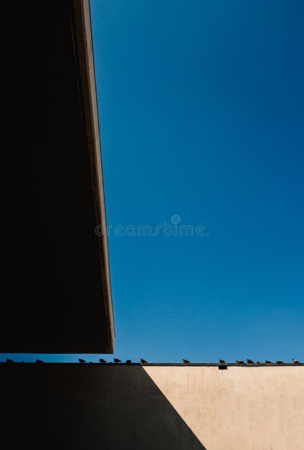 Minimalistic View of a Rooftop and Birds Perched on a Wall Stock Image ...