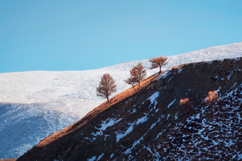 Minimalistic Winter Mountain Landscape with Three Trees on the B Stock ...
