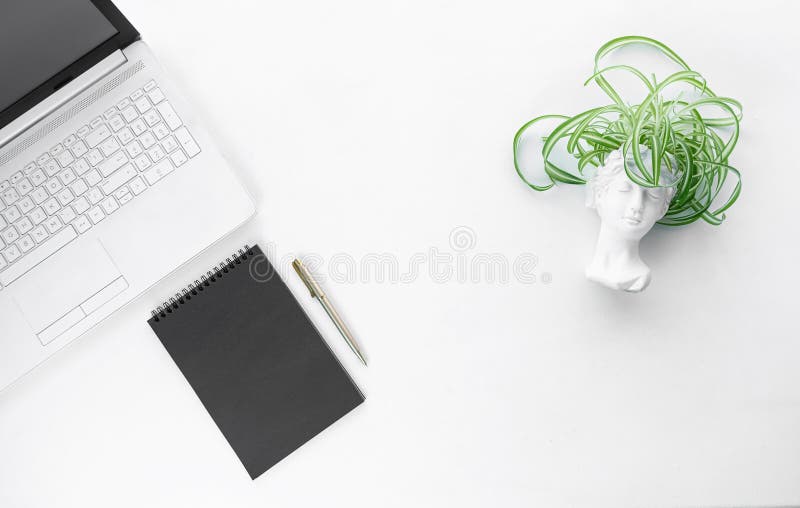Minimalistic Workspace with Laptop, Notebook, and Decorative Plant ...